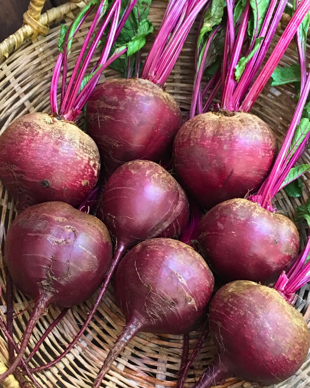 Fall Root Vegetables – Renee's Garden