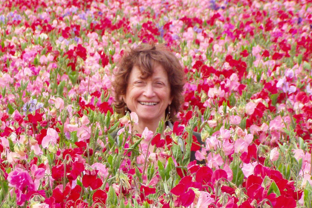 Gardening 101 – Page 3 – Renee's Garden