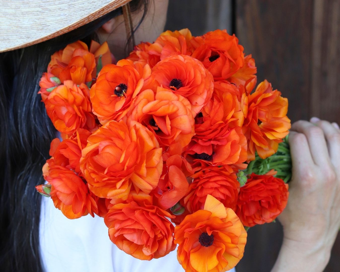 Ranunculus – Renee's Garden