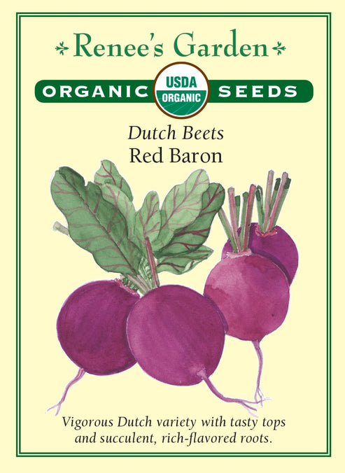 'Red Baron' Dutch Beets – Renee's Garden