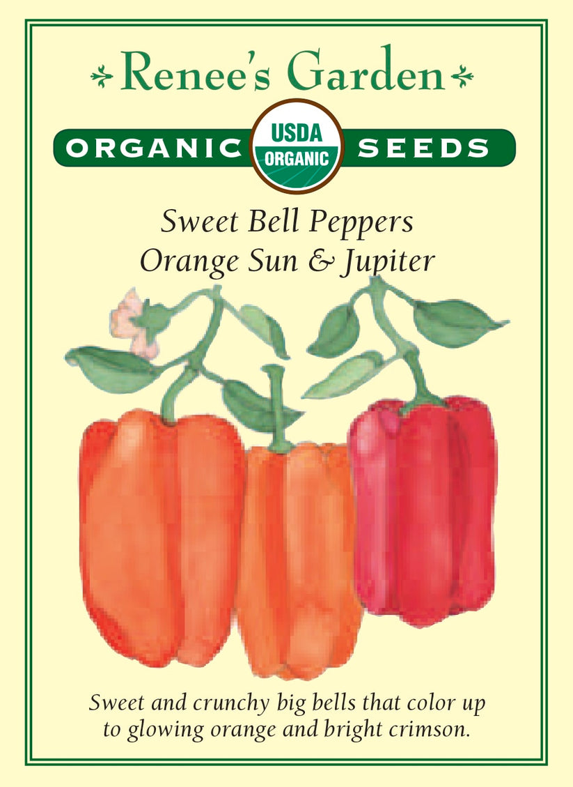 'Orange Sun & Jupiter' Sweet Bell Peppers – Renee's Garden
