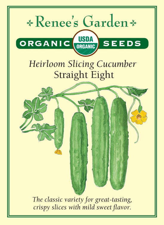 'Straight Eight' Heirloom Slicing Cucumber – Renee's Garden