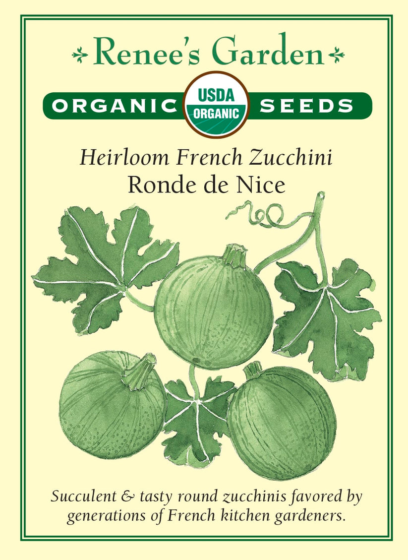 'Ronde de Nice' Heirloom French Zucchini – Renee's Garden