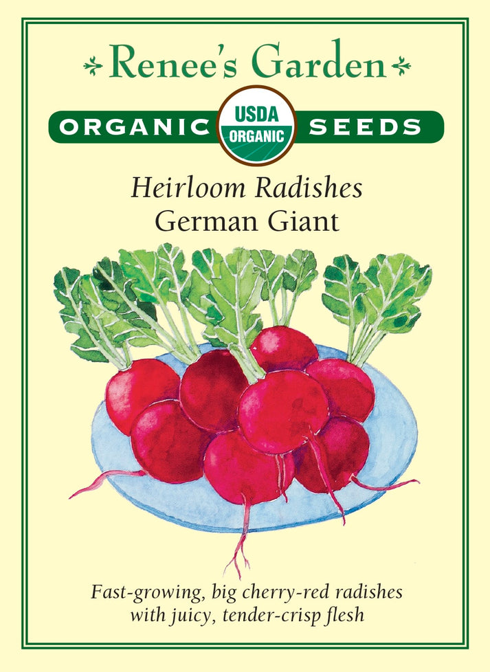 'German Giant' Heirloom Radishes – Renee's Garden