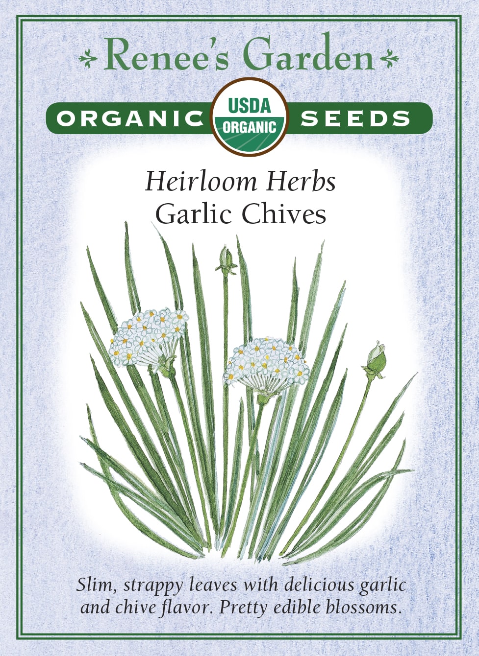 'Garlic Chives' Heirloom Herbs – Renee's Garden