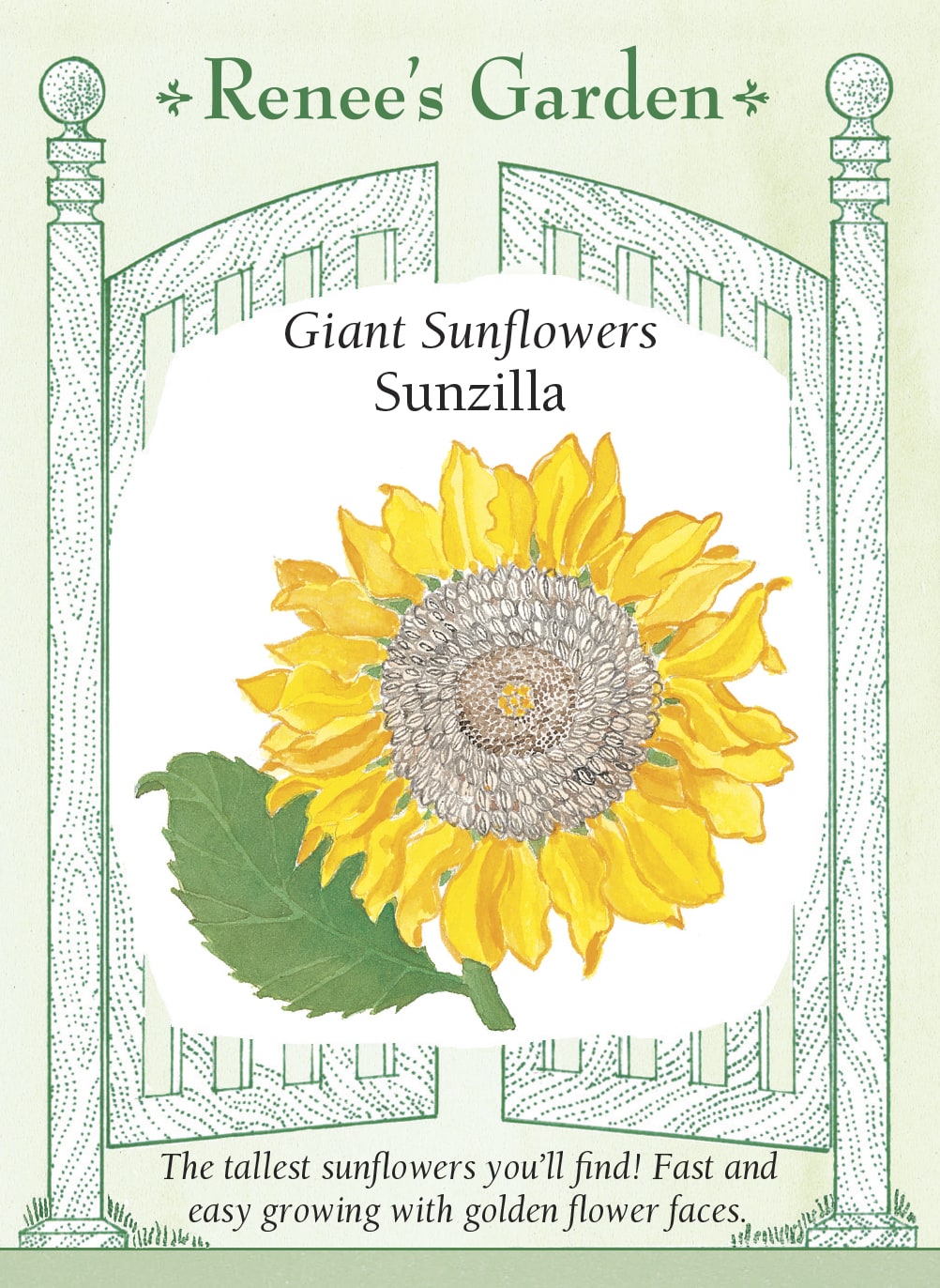 'Sunzilla' Giant Sunflowers – Renee's Garden