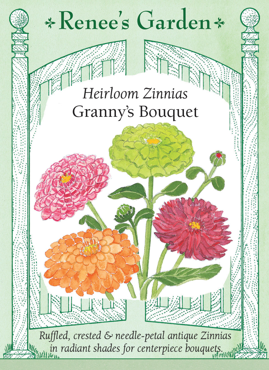 Zinnias – Renee's Garden