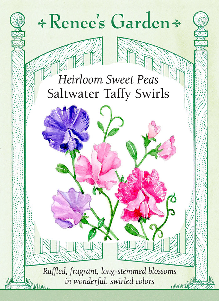 Flowers | Sweet peas | Renee's Garden Seeds