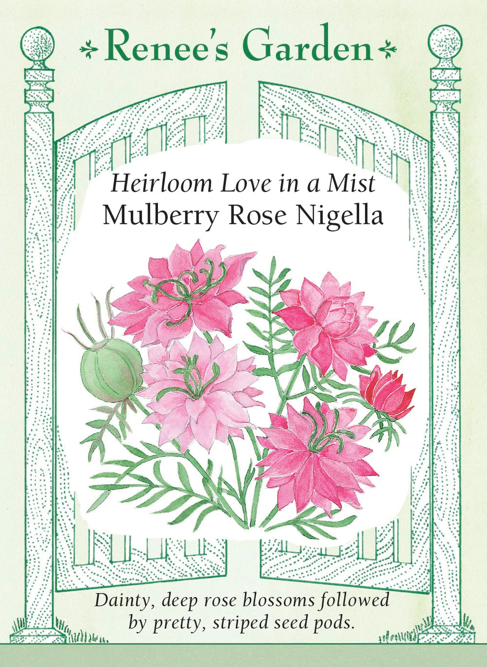 'Mulberry Rose Nigella' Love in a Mist – Renee's Garden