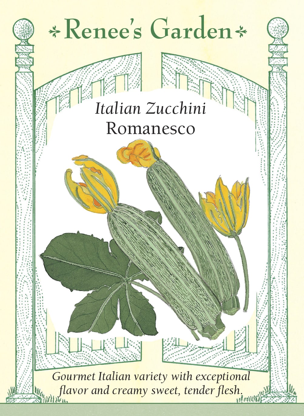 'Romanesco' Italian Zucchini – Renee's Garden