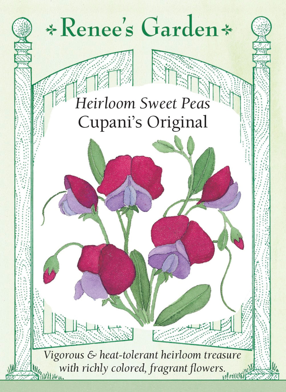 'Cupani's Original' Heirloom Sweet Peas – Renee's Garden
