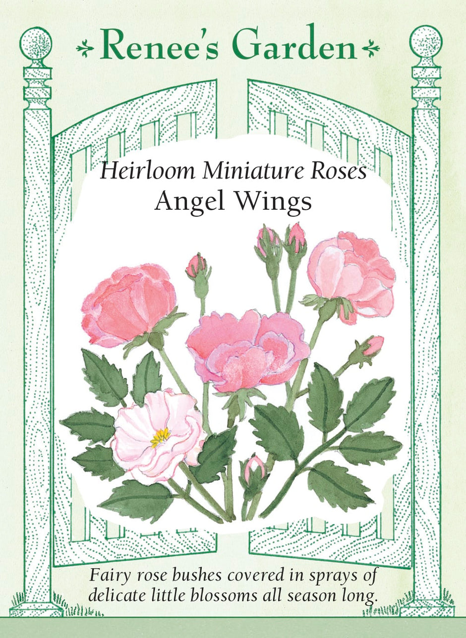 Flowers – tagged "Roses" – Renee's Garden