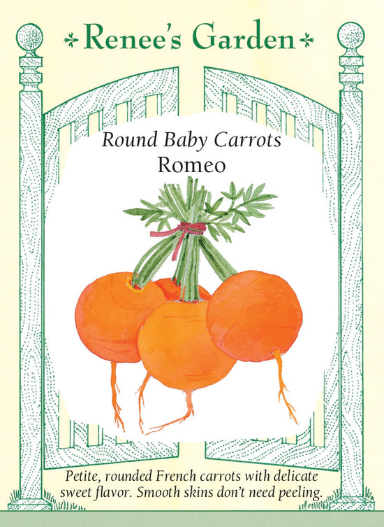 'Romeo' Round Baby Carrots – Renee's Garden