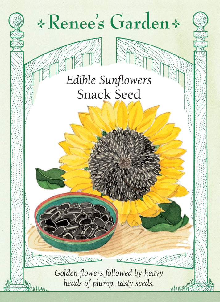 'Snack Seed' Edible Sunflowers – Renee's Garden