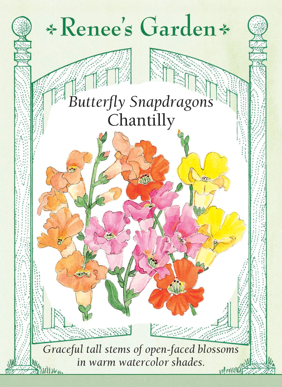 'Chantilly' Butterfly Snapdragons – Renee's Garden