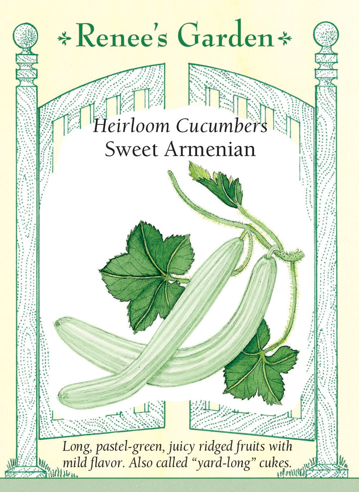 Cucumbers – Renee's Garden