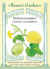Cucumbers – Renee's Garden
