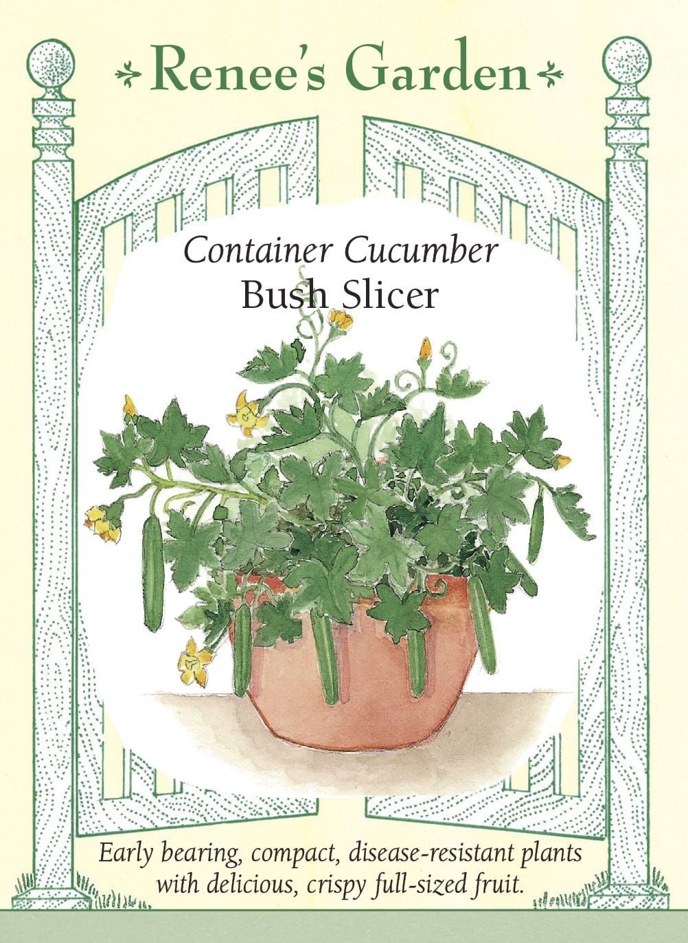 'Bush Slicer' Container Cucumber – Renee's Garden
