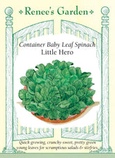 'Pixie' Baby Cabbage – Renee's Garden