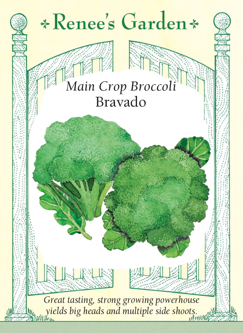 Vegetables – tagged "Broccoli" – Renee's Garden