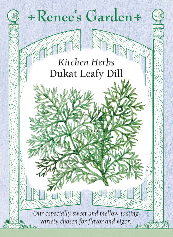 'Dukat Leafy Dill' Kitchen Herbs – Renee's Garden