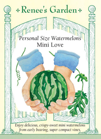 'Mini Love' Personal Size Watermelons – Renee's Garden