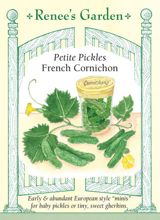'French Cornichon' Petite Pickles – Renee's Garden