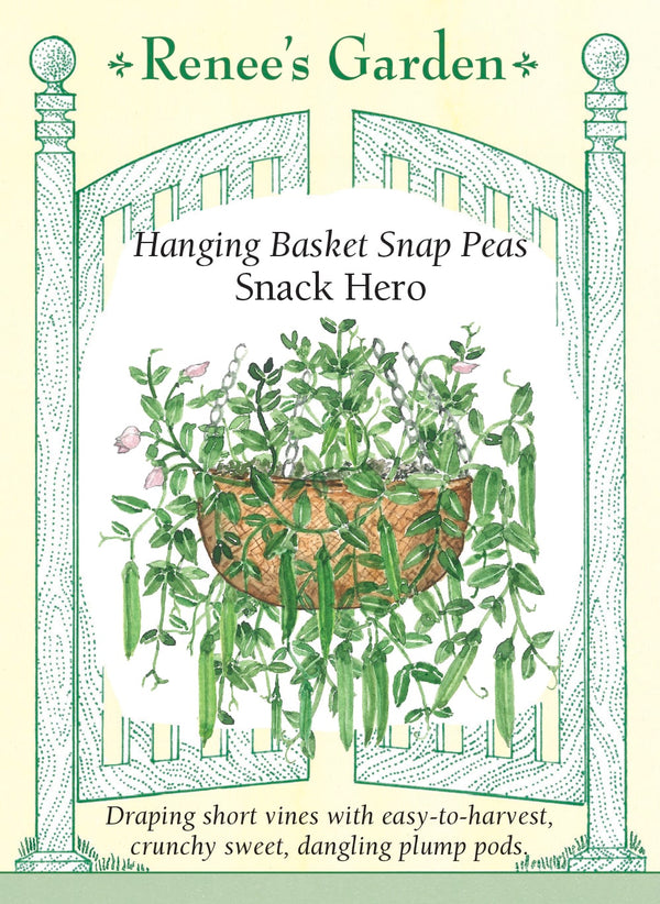 'Snack Hero' Hanging Basket Snap Peas – Renee's Garden