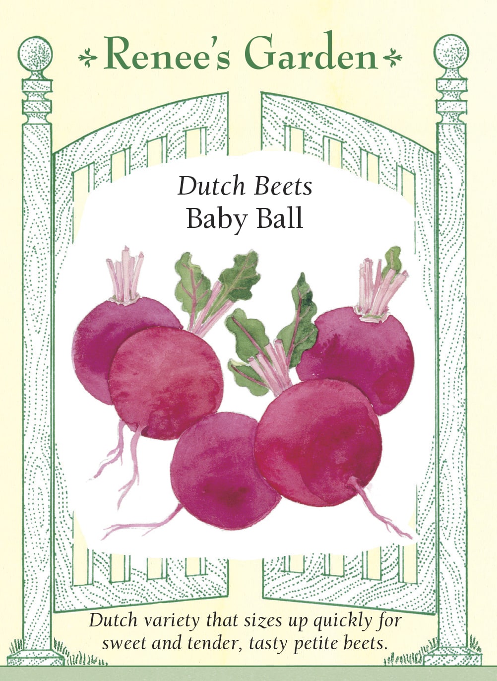 'Baby Ball' Dutch Beets – Renee's Garden