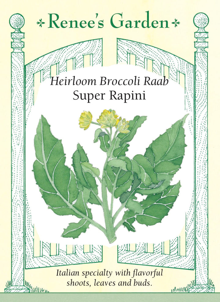 Vegetables – tagged "Broccoli" – Renee's Garden