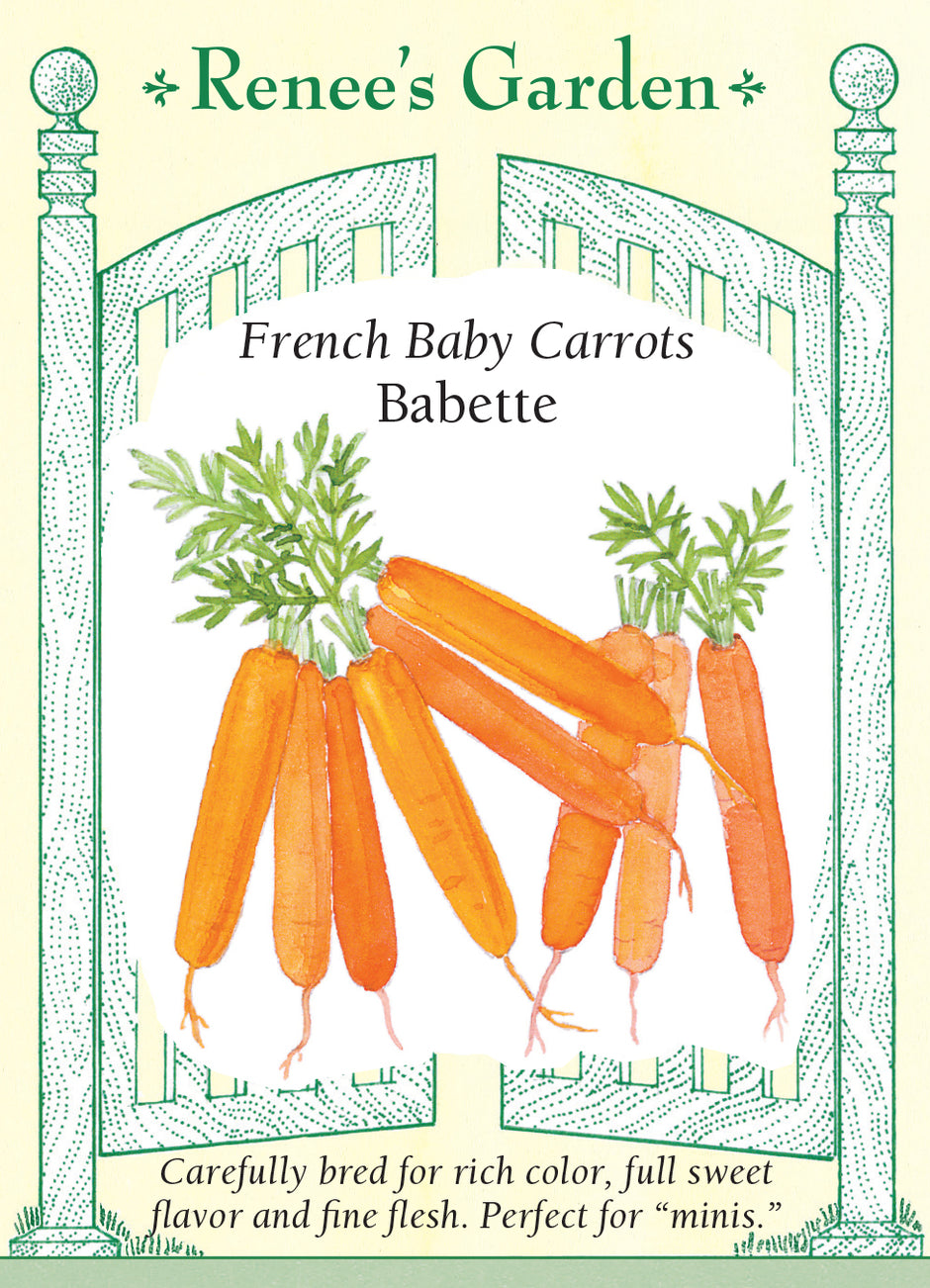Carrots – Renee's Garden