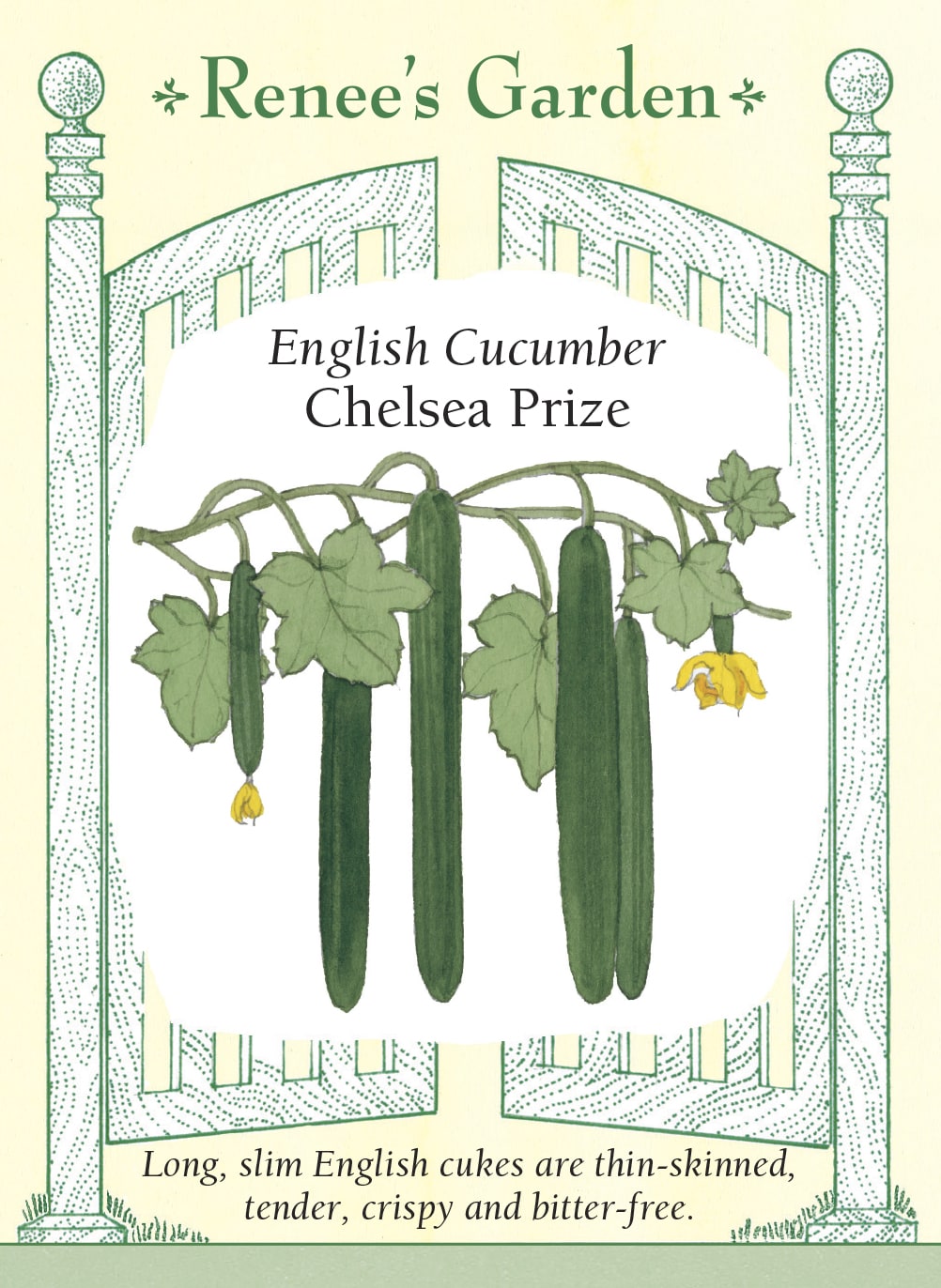 'Chelsea Prize' English Cucumber – Renee's Garden