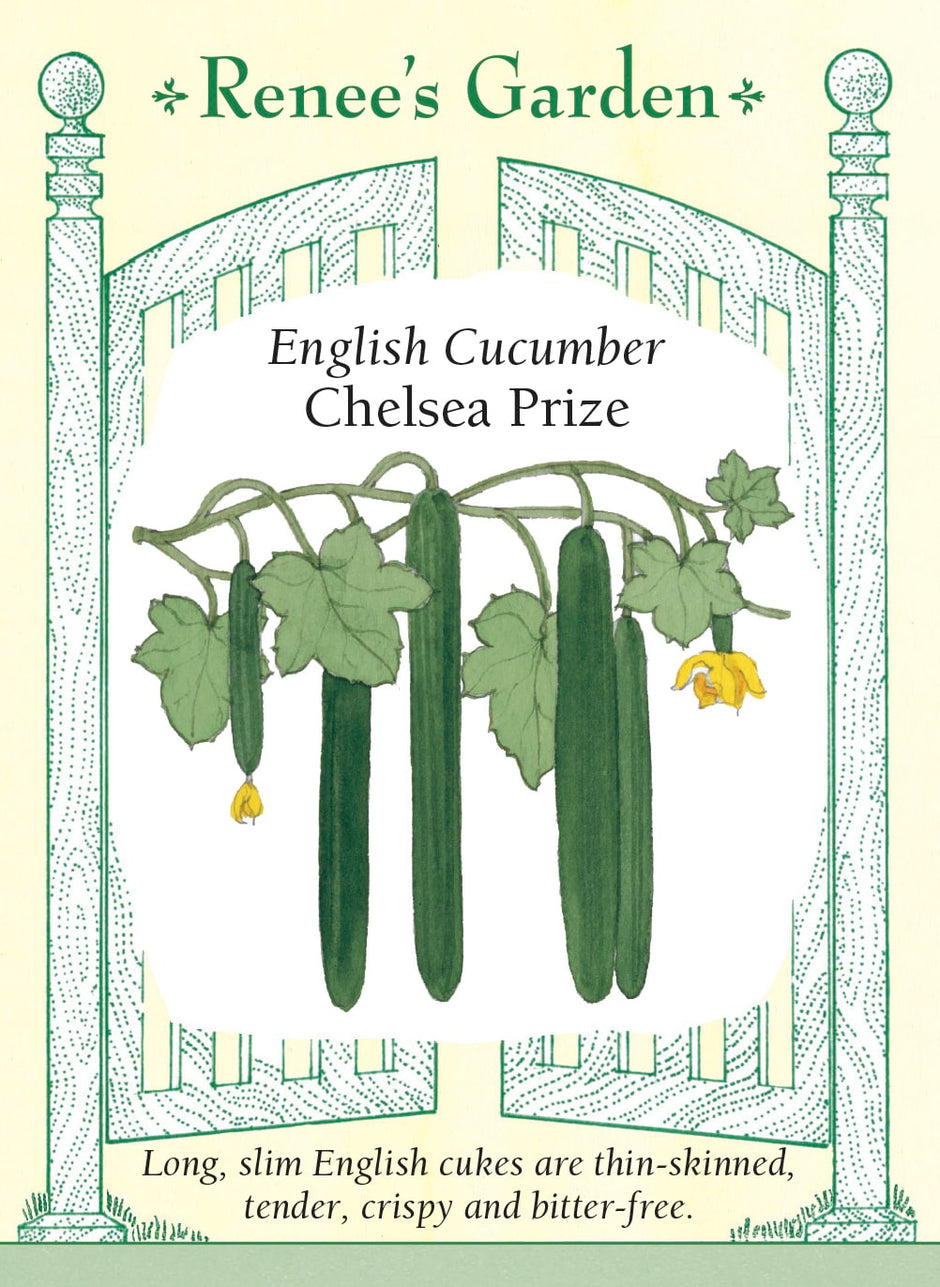 Cucumbers – Renee's Garden