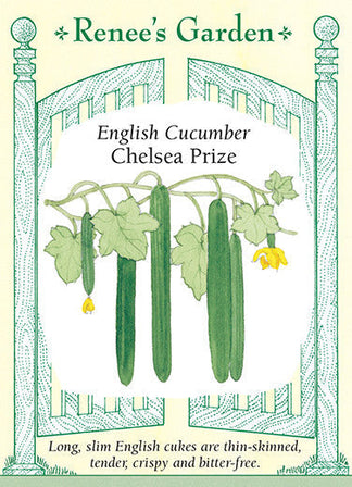 'Chelsea Prize' English Cucumber – Renee's Garden