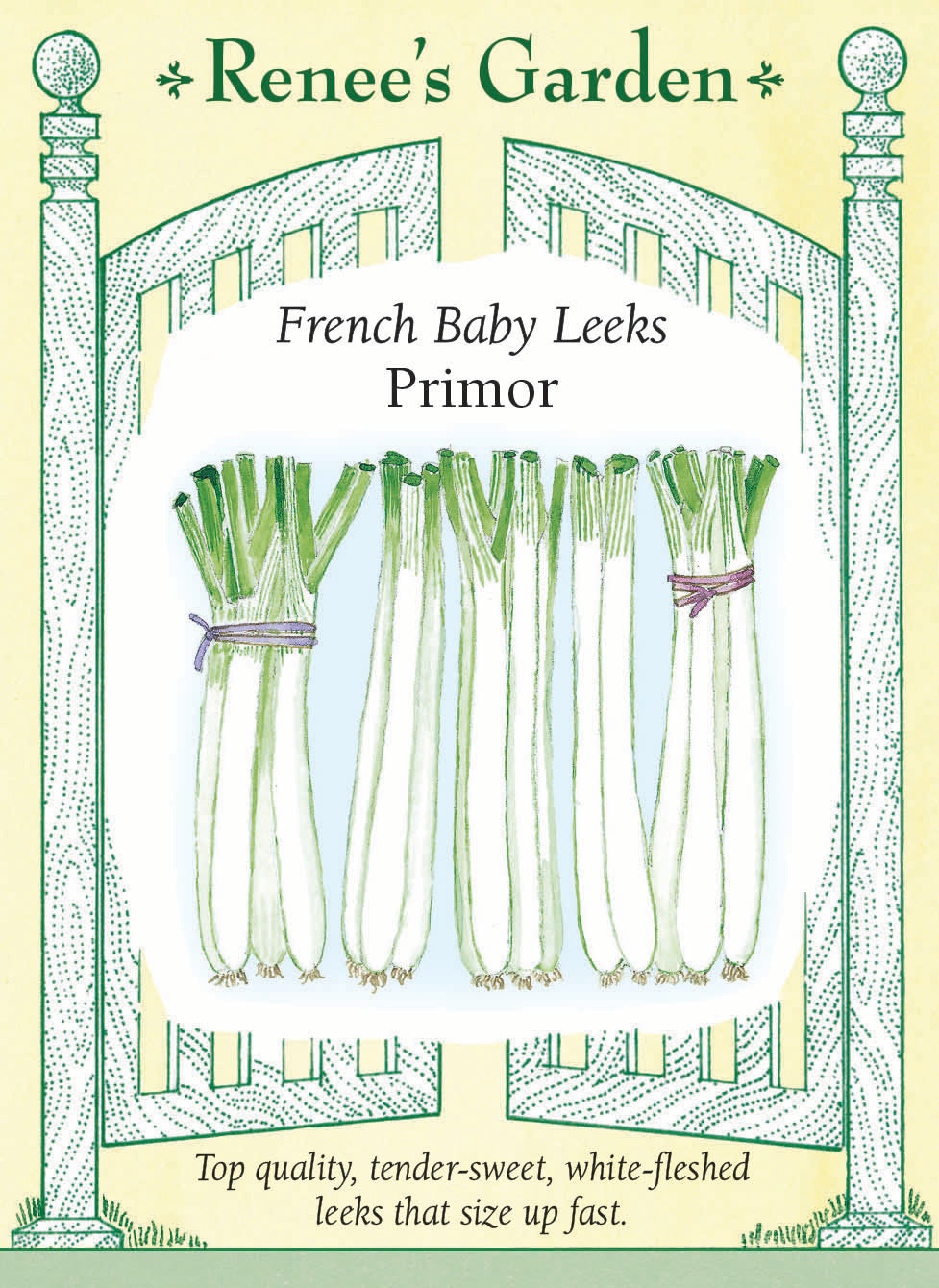 'Primor' French Baby Leeks – Renee's Garden