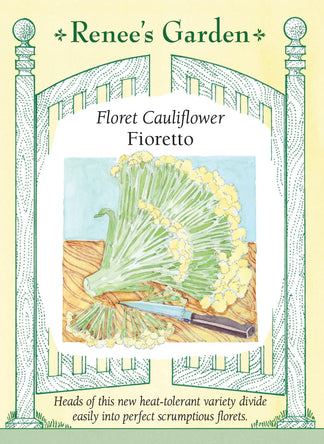 'Fioretto' Floret Cauliflower – Renee's Garden