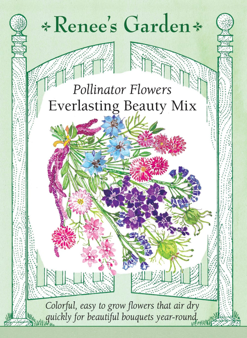 Cut Flowers – Renee's Garden