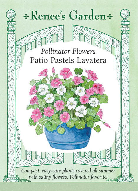 'Patio Pastels Lavatera' Pollinator Flowers | Renee's Garden Seeds