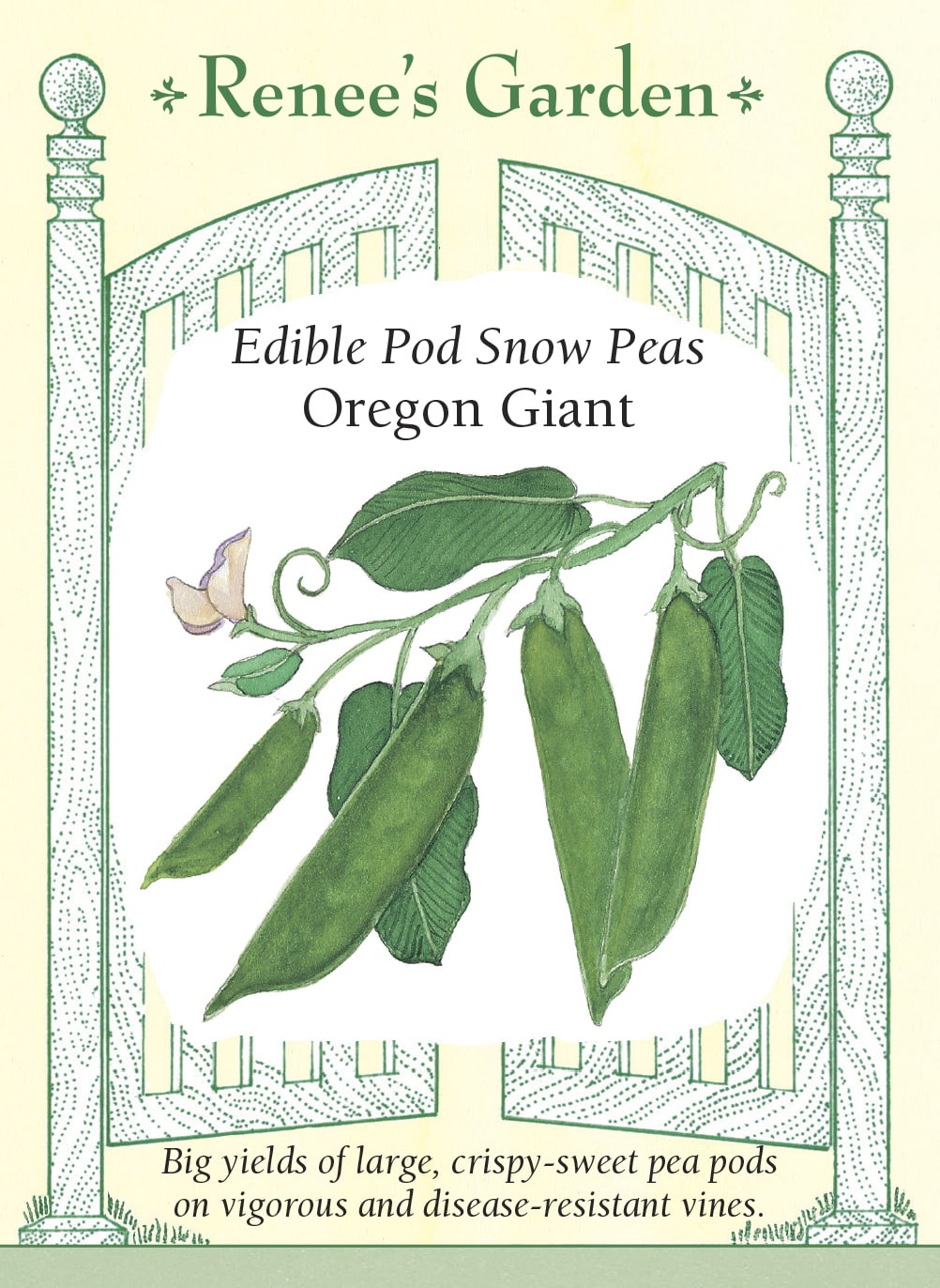 'Oregon Giant' Edible Pod Snow Peas – Renee's Garden