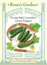 'Mini Love' Personal Size Watermelons – Renee's Garden
