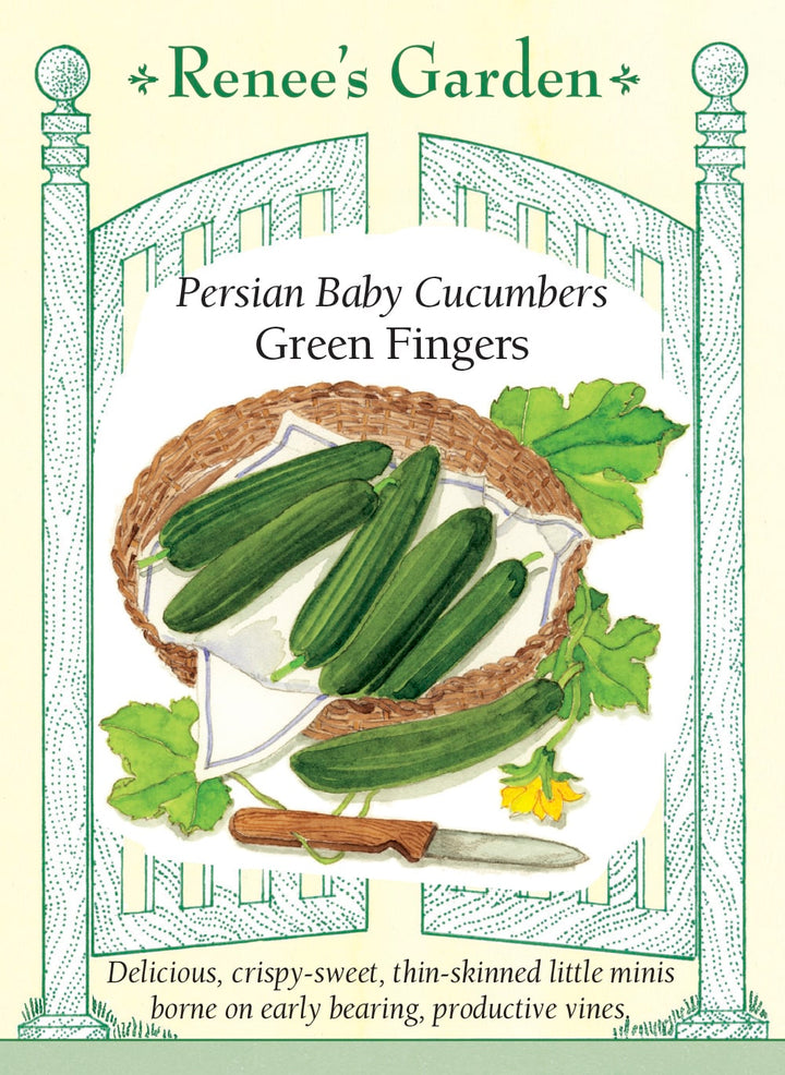 'French Cornichon' Petite Pickles – Renee's Garden
