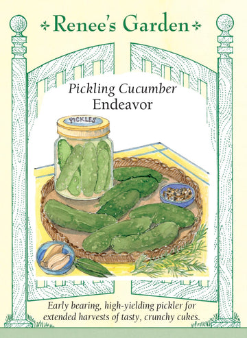 Cucumbers – Renee's Garden