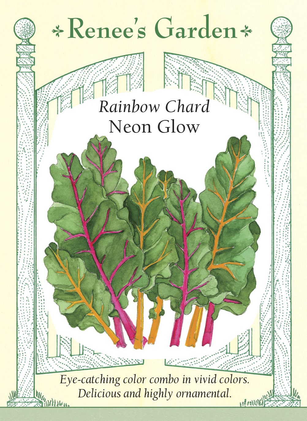 'Neon Glow' Rainbow Chard – Renee's Garden