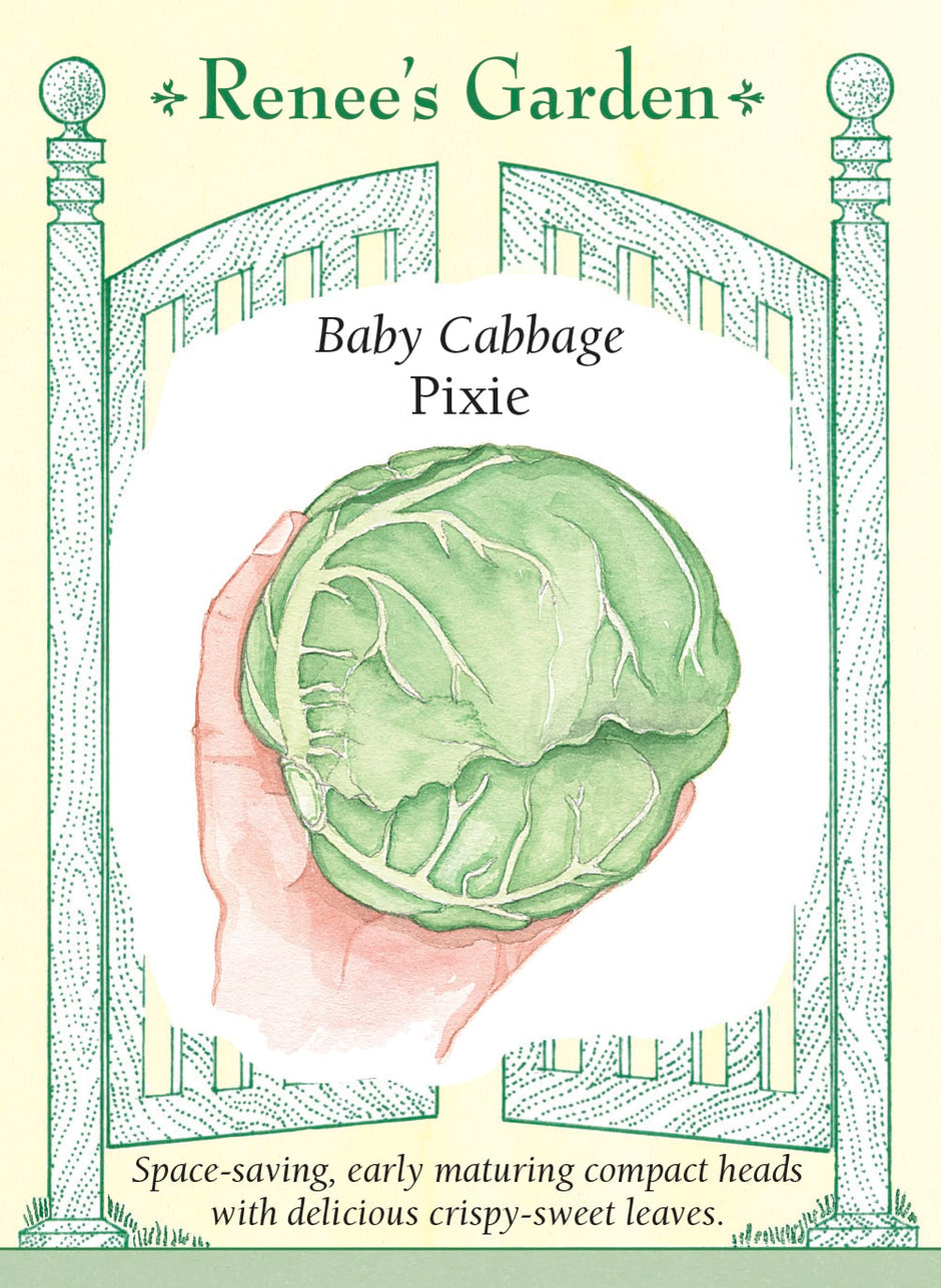 Vegetables – tagged "Cabbage" – Renee's Garden