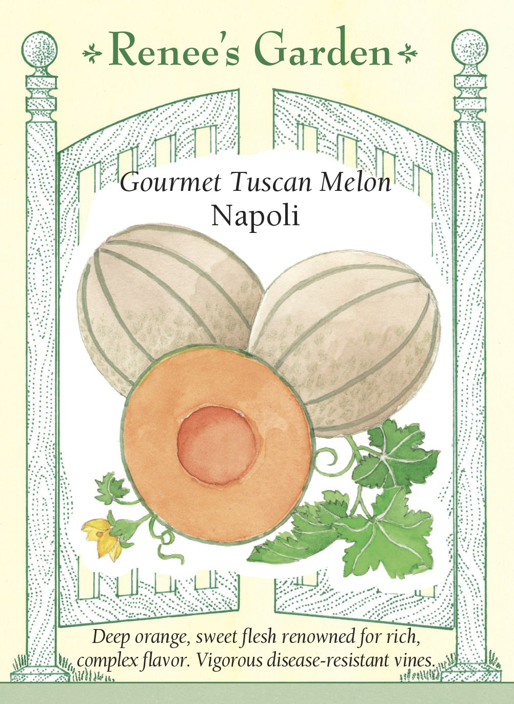 'Napoli' Gourmet Tuscan Melon – Renee's Garden