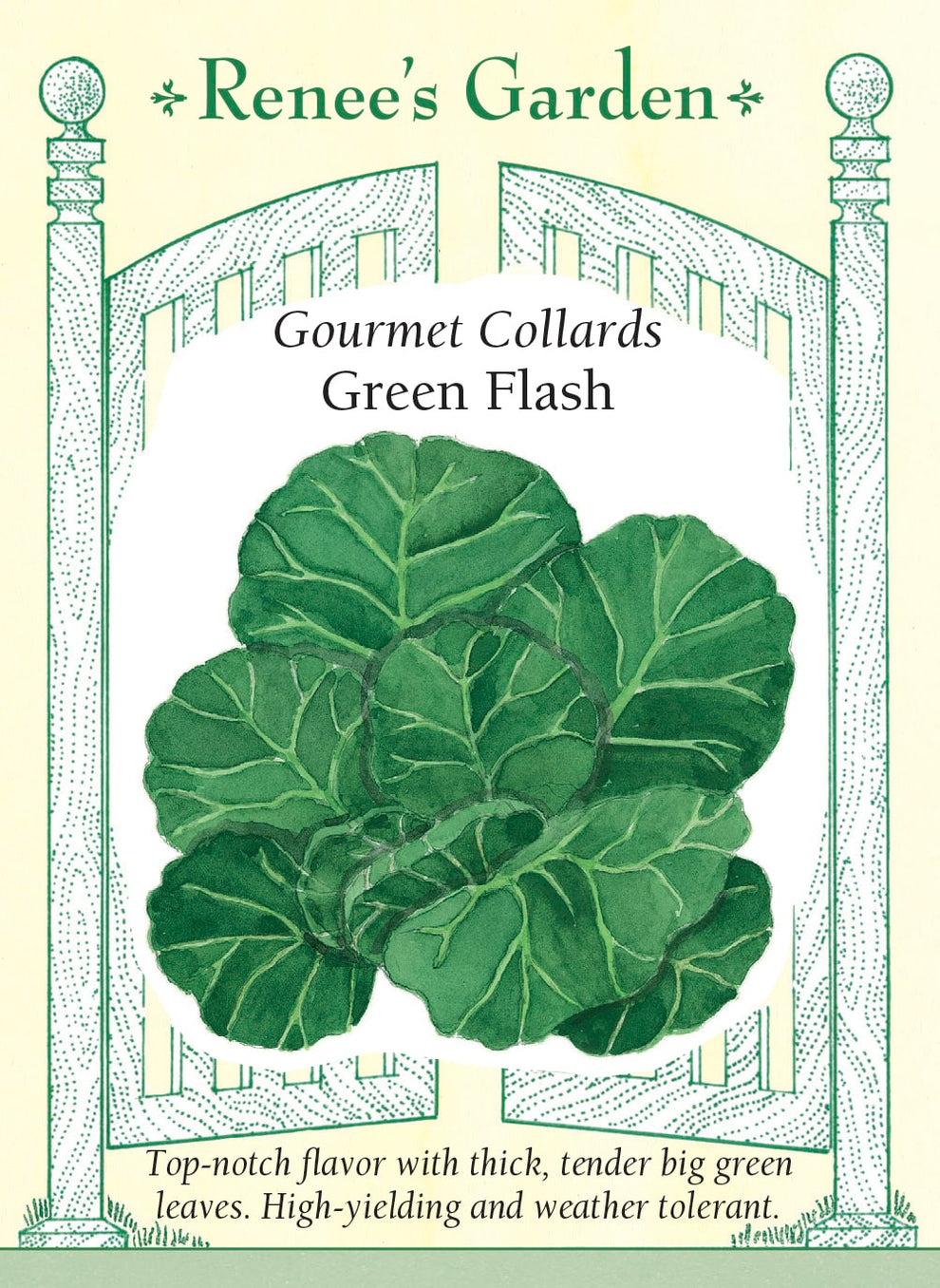'Green Flash' Gourmet Collards – Renee's Garden