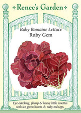 'Ruby Gem' Baby Romaine Lettuce – Renee's Garden