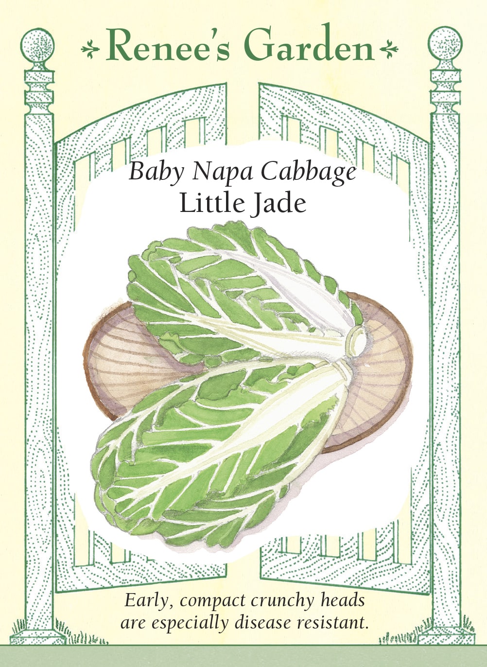 'Little Jade' Baby Napa Cabbage – Renee's Garden