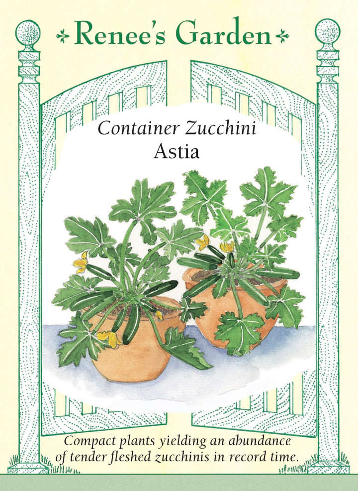 'French Cornichon' Petite Pickles – Renee's Garden