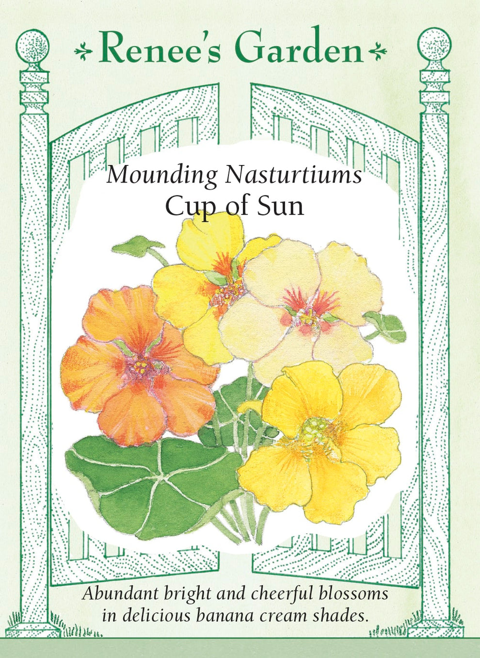 'Cup of Sun' Mounding Nasturtiums – Renee's Garden